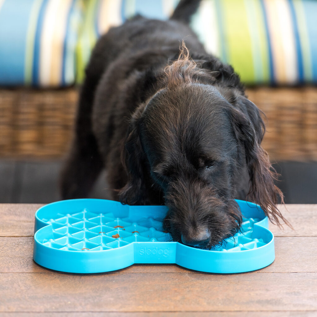 Slodog® – Innovative Pet Products