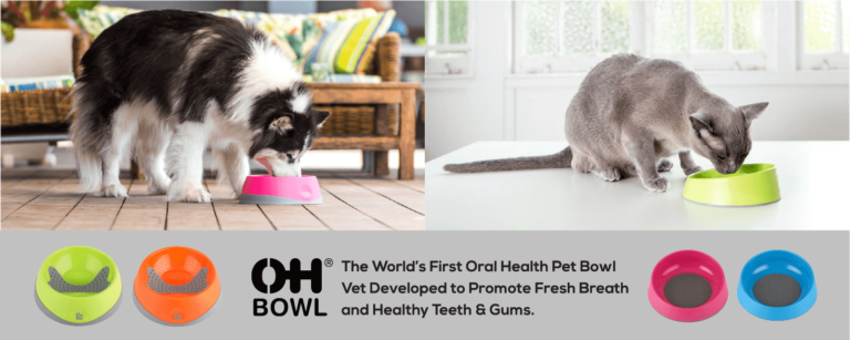 Innovative Pet Products – We make better pet products